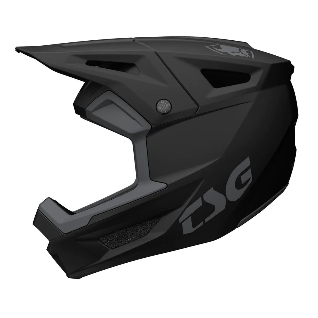 Sentinel Helmet Logo